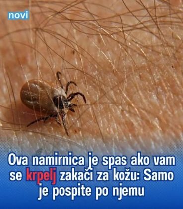Ova namirnica je spas ako vam se krpelj zakači za kožu: Samo je pospite po njemu | Info Pult