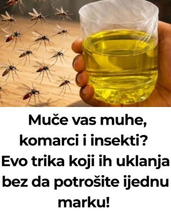 Muče vas muhe, komarci i insekti? Evo trika koji ih uklanja bez da ...